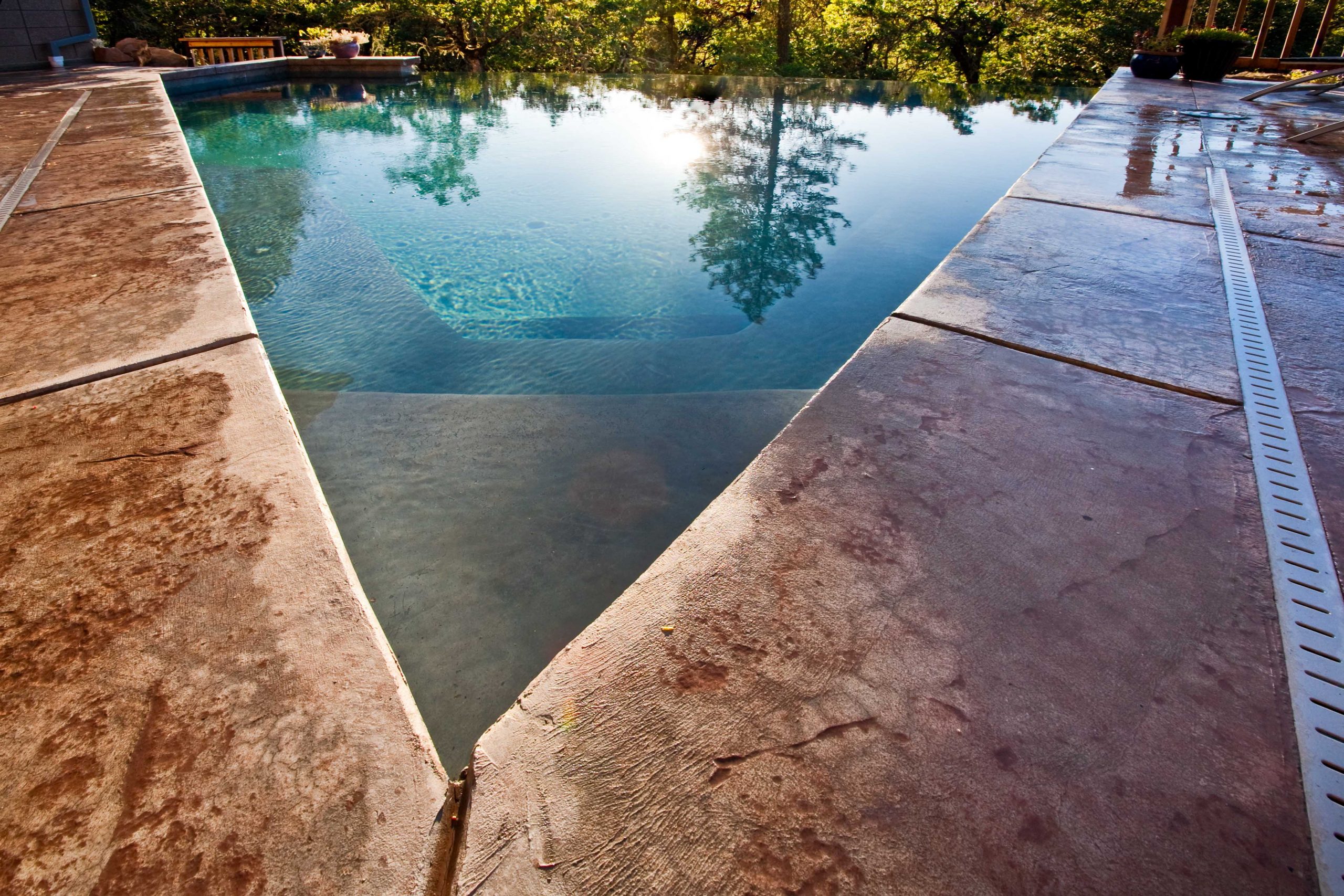 Scorpion | Structure Vision