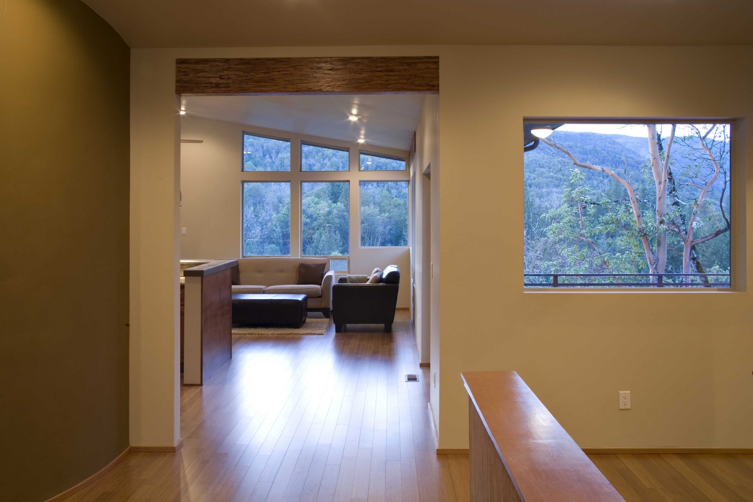 Sting Ray | Structure Vision